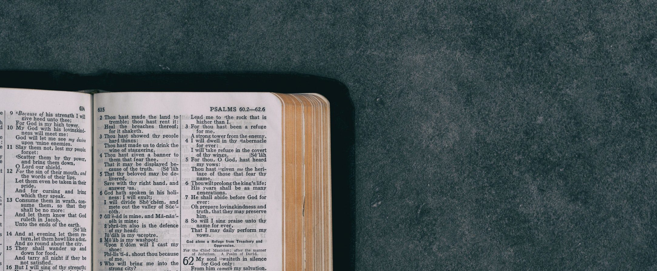 Songs of the Soul: A Lenten Journey through the Psalms - Good Shepherd ...